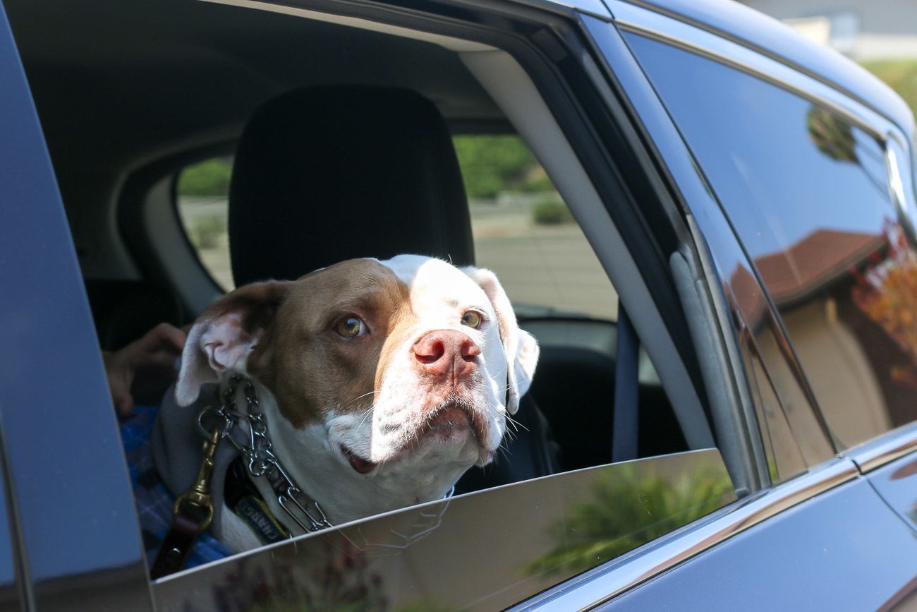 The Best Navigation Apps For Road Trips La Jolla Mom The Best Navigation Apps For Road Trips La Jolla Mom