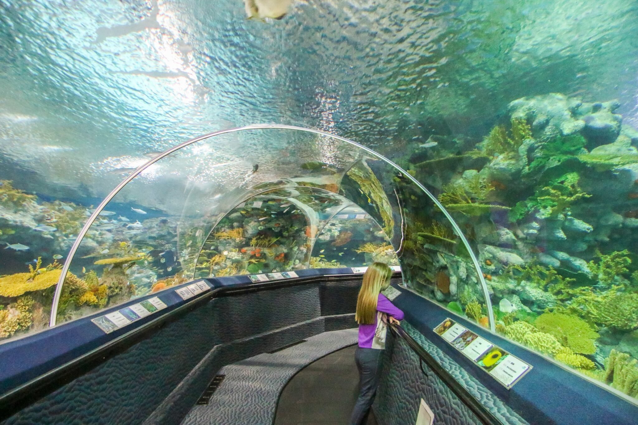 20 Things To Do In Shanghai With Kids - Family Vacation In Shanghai