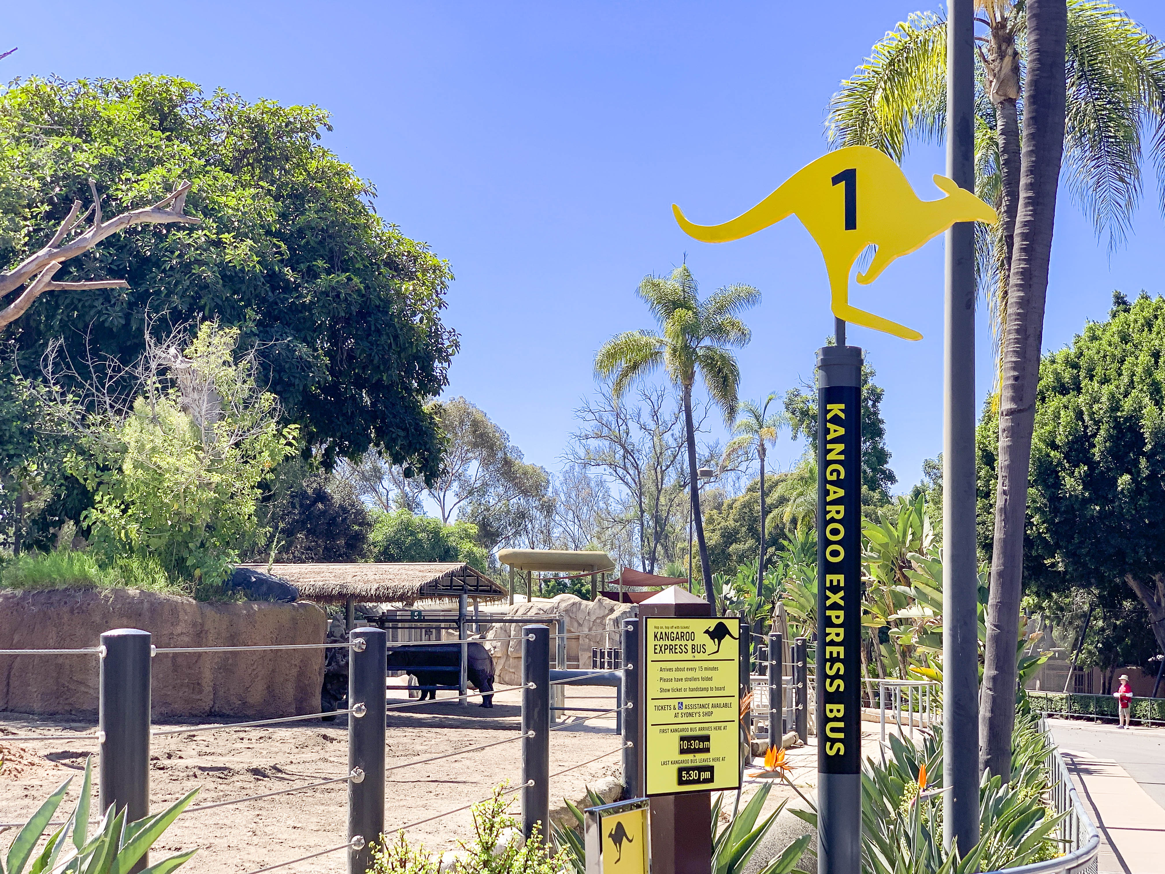 San Diego Zoo for Kids & Toddlers: What to Do [Member Tips] | La Jolla Mom