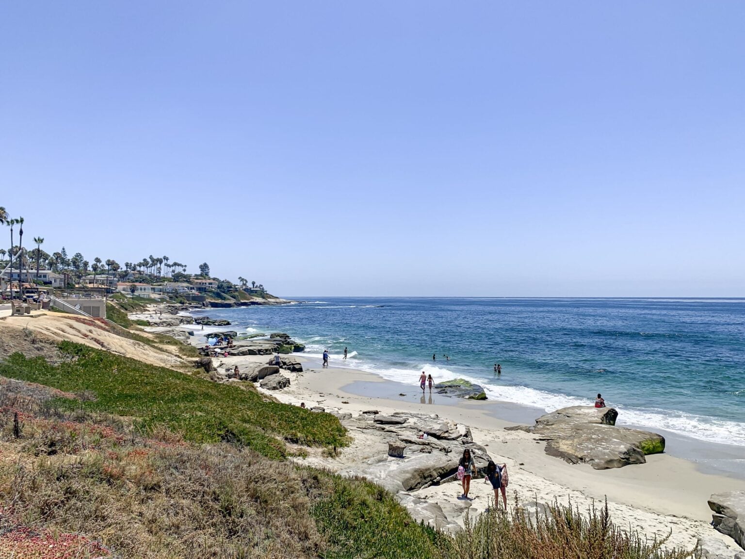 Windansea Beach Guide: Surfing, Parking, Directions, More | La Jolla Mom