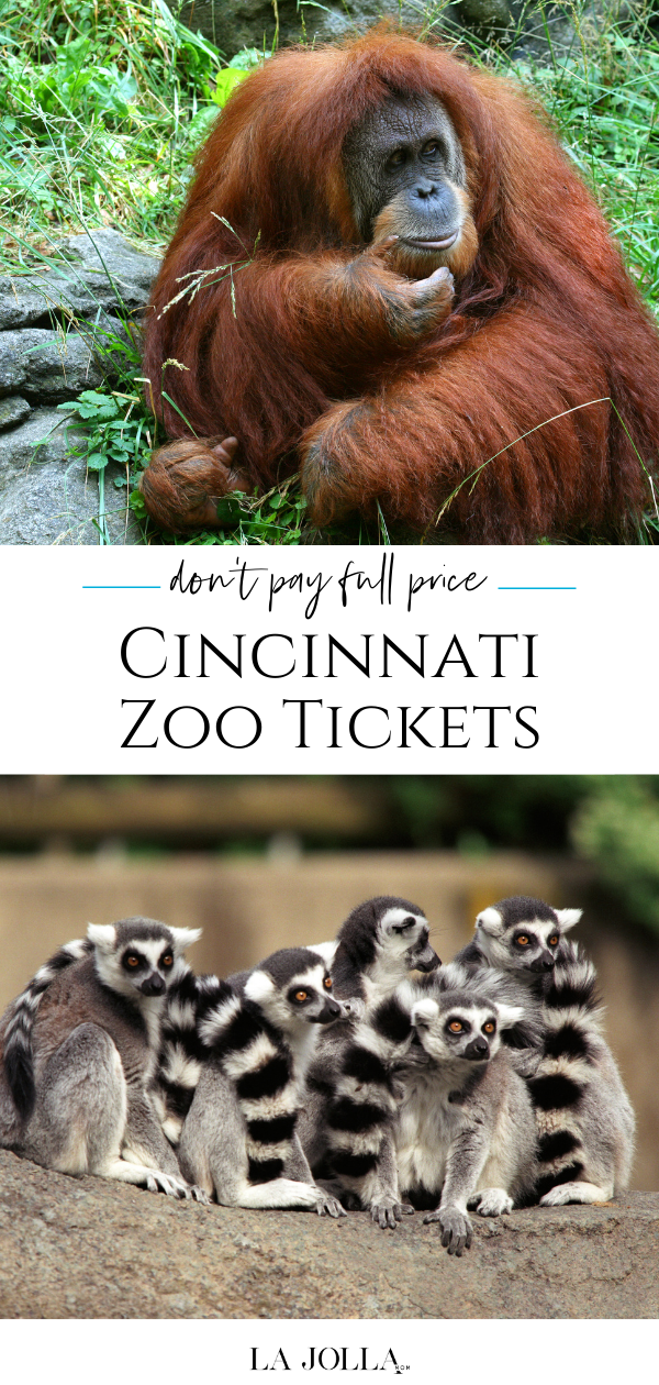 How To Buy Discount Tickets To Cincinnati Zoo & Botanical Garden - 10 ...