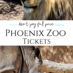 How To Buy Discount Phoenix Zoo Tickets: Top 11 Cheap Ways - La Jolla Mom