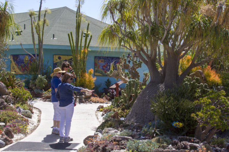 San Diego Botanic Garden In Encinitas: 15 Fun Things To Do - La Jolla Mom