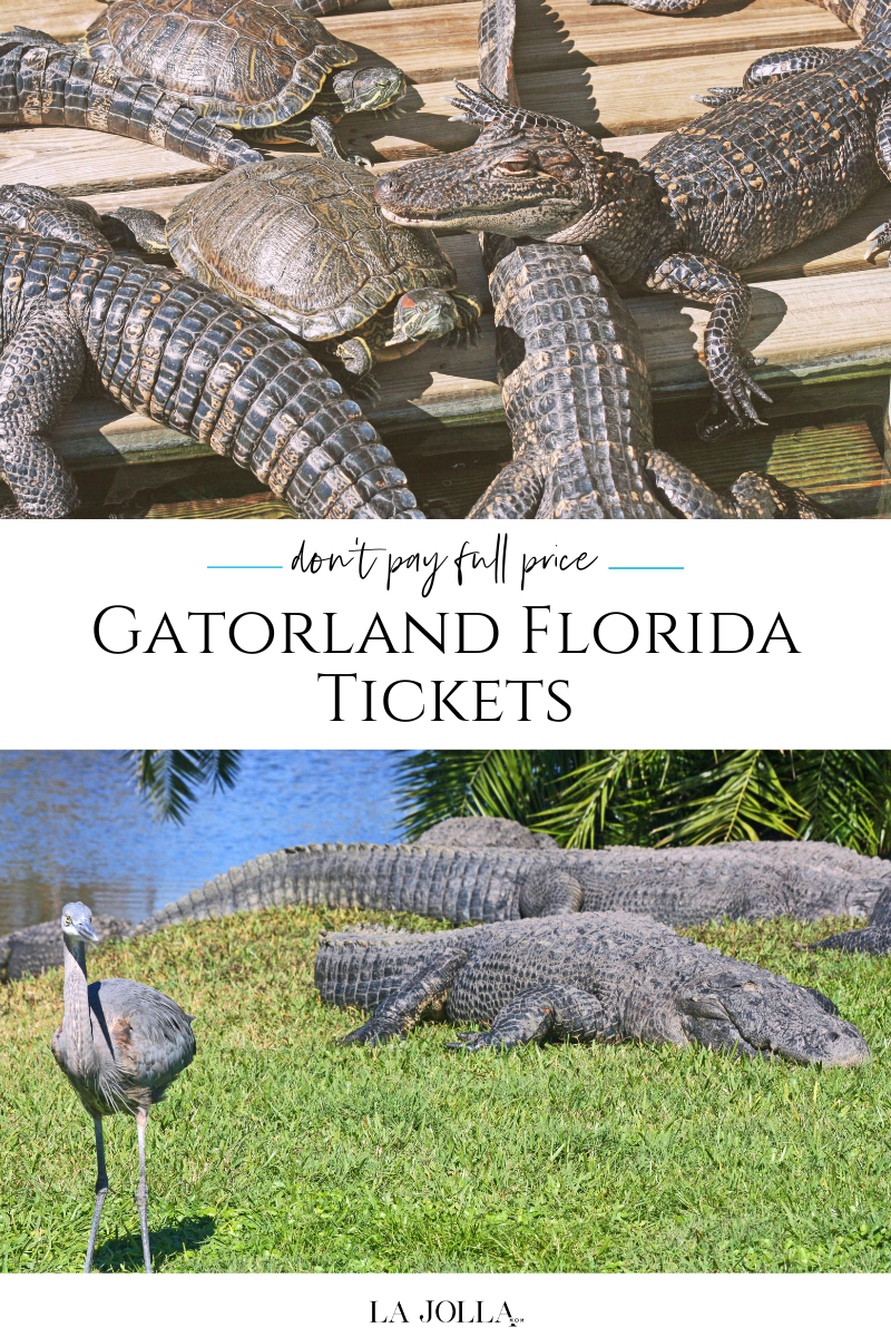 Discount Gatorland Tickets: 11 Cheap Ways To Save - La Jolla Mom