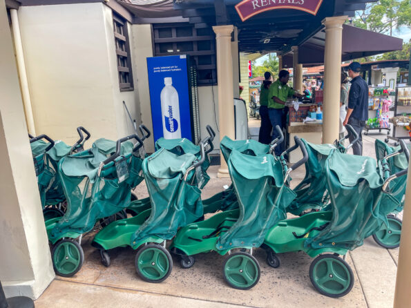 San Diego Zoo Food Policy, Bags & What You Can Bring In (2025)